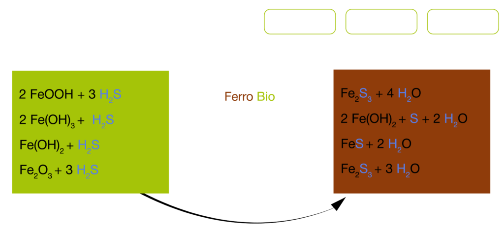 Ferro Bio - Ferrobiogroup